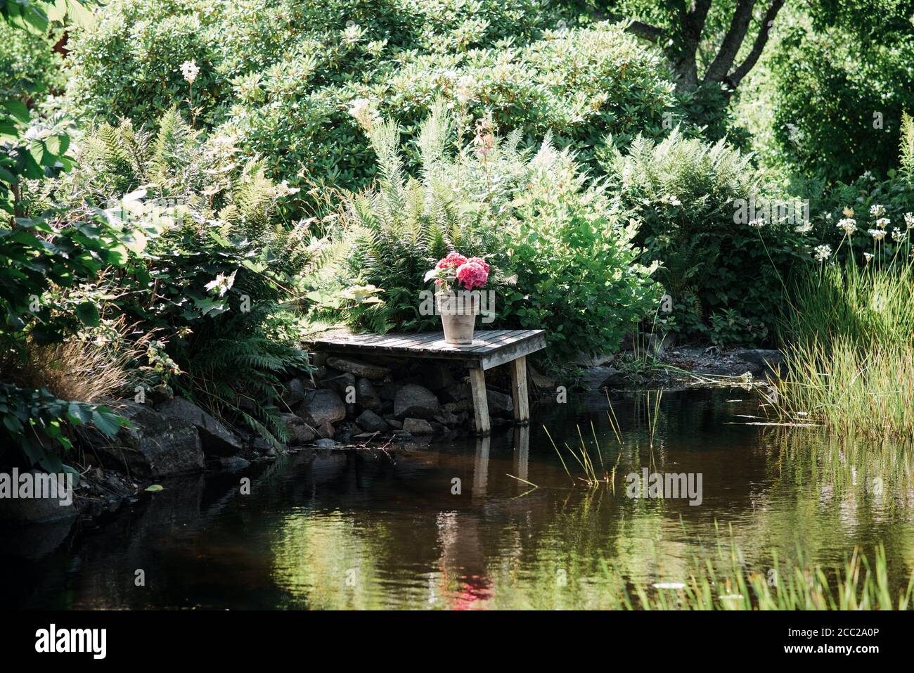 Pink flowers river trees mountain hi-res stock photography and images ...