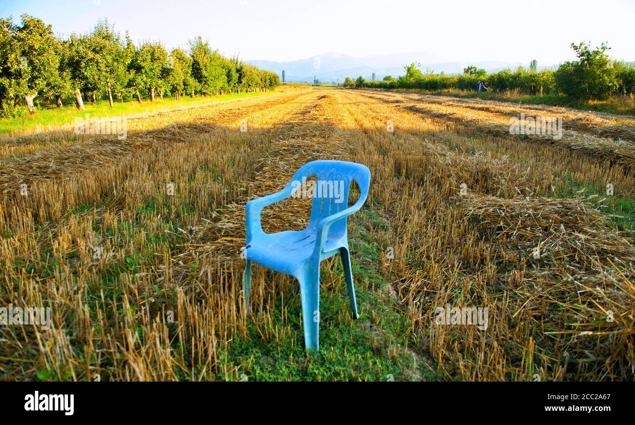 broken plastic garden chair in harvested wheat field, image Stock Photo ...