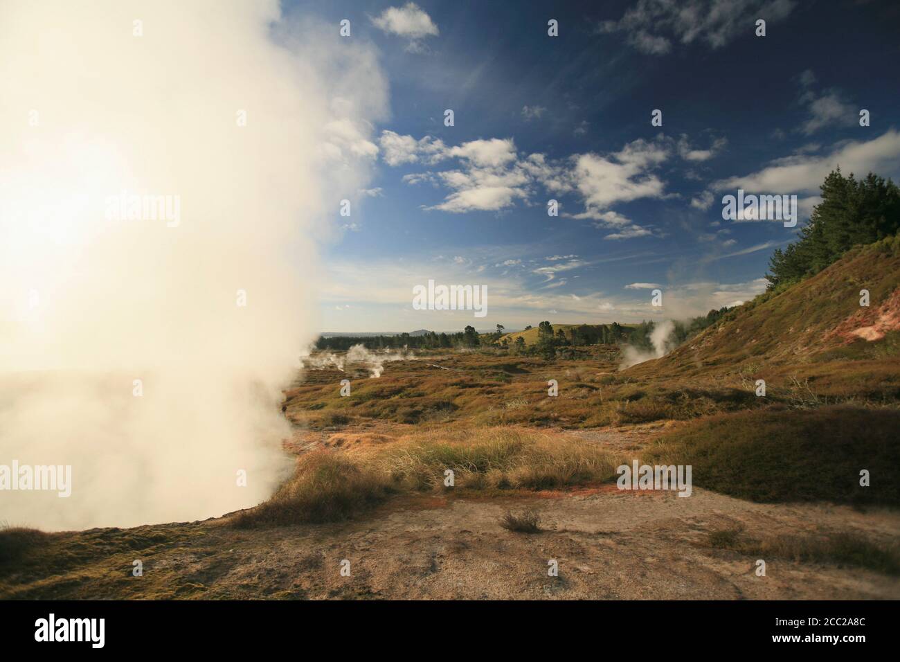 New Zealand, Geothermal activity, Steam Stock Photo - Alamy