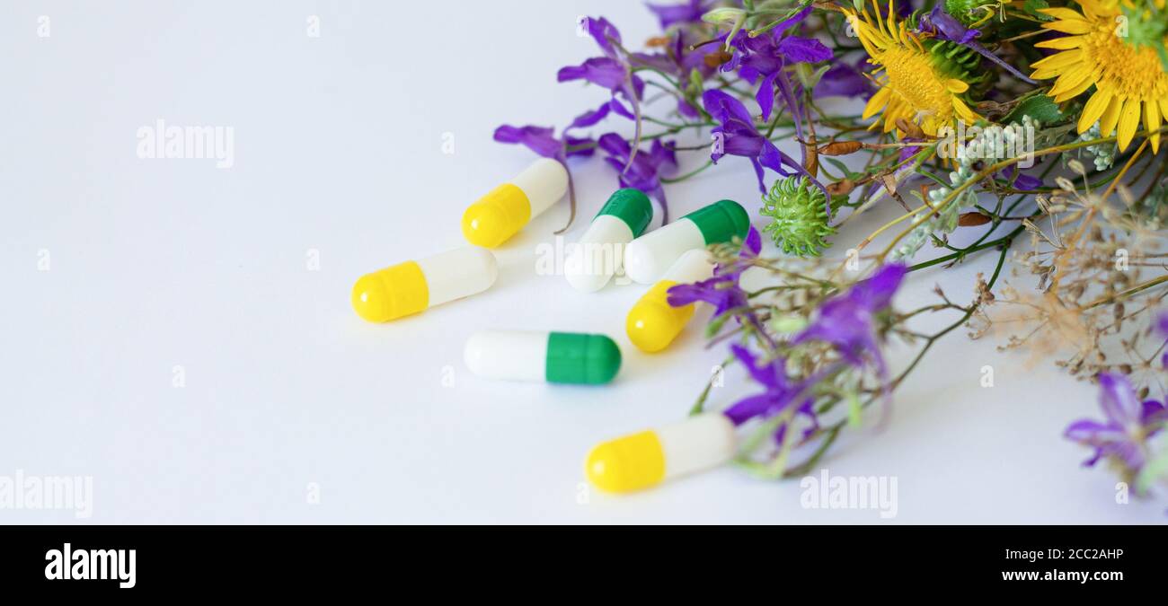 Natural pharmaceutical herbal capsules with healthy flowers and herbs ...