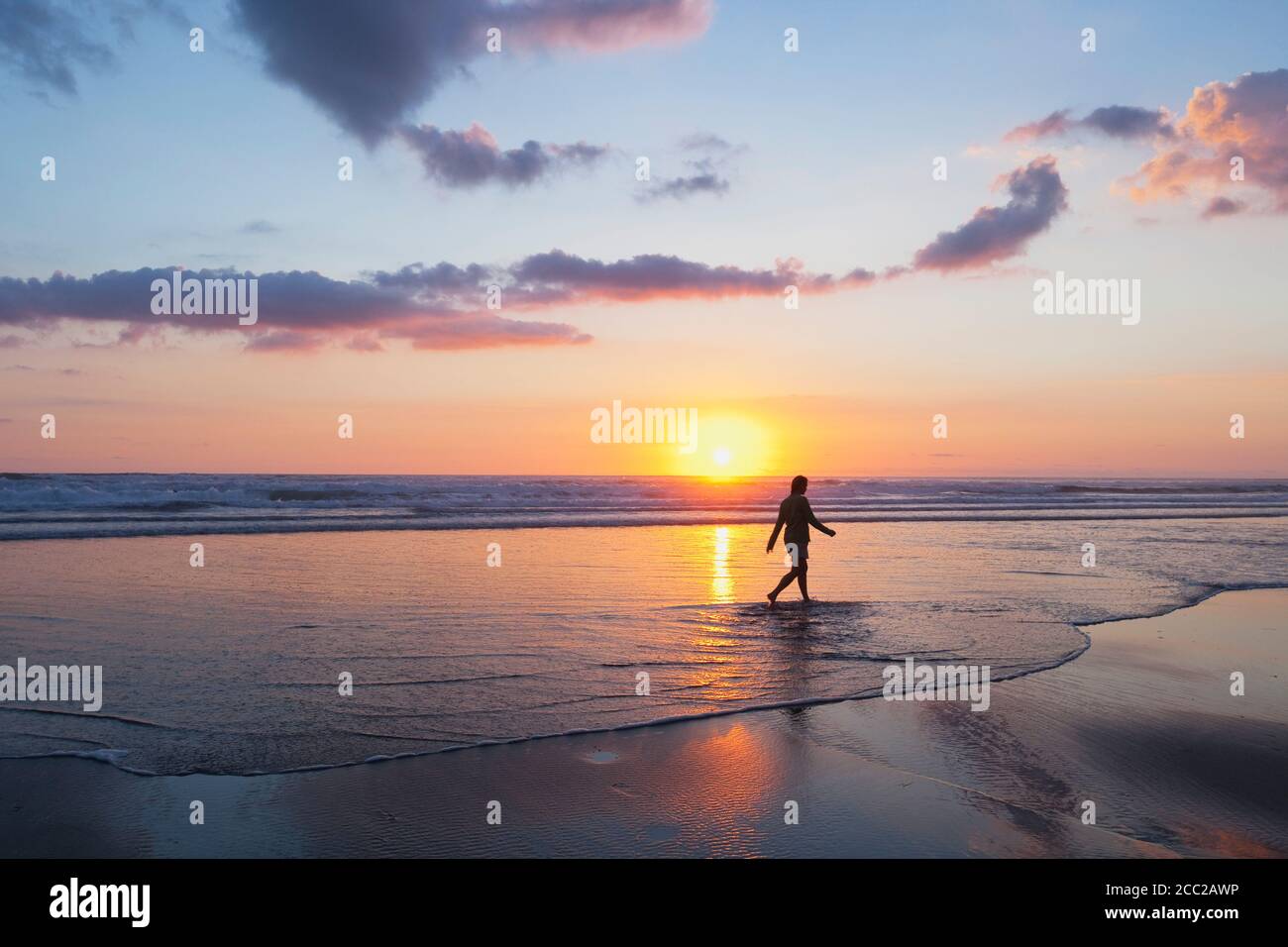 Silhouette of person walking along the sea at sunset hi-res stock ...