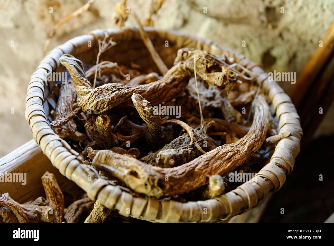 Germany, Gentian root for distillery Stock Photo - Alamy