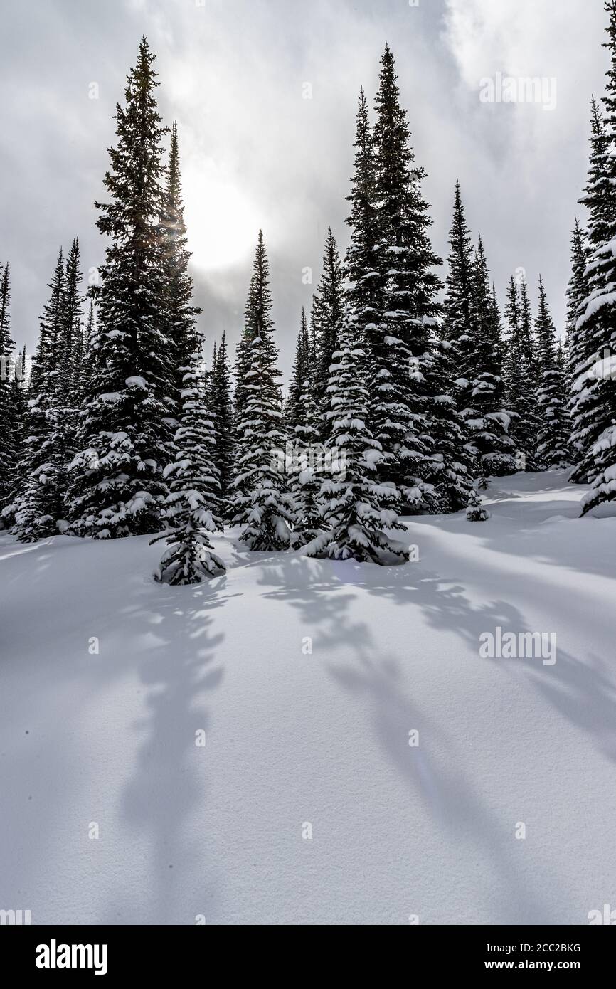 Wilderness scene hi-res stock photography and images - Alamy