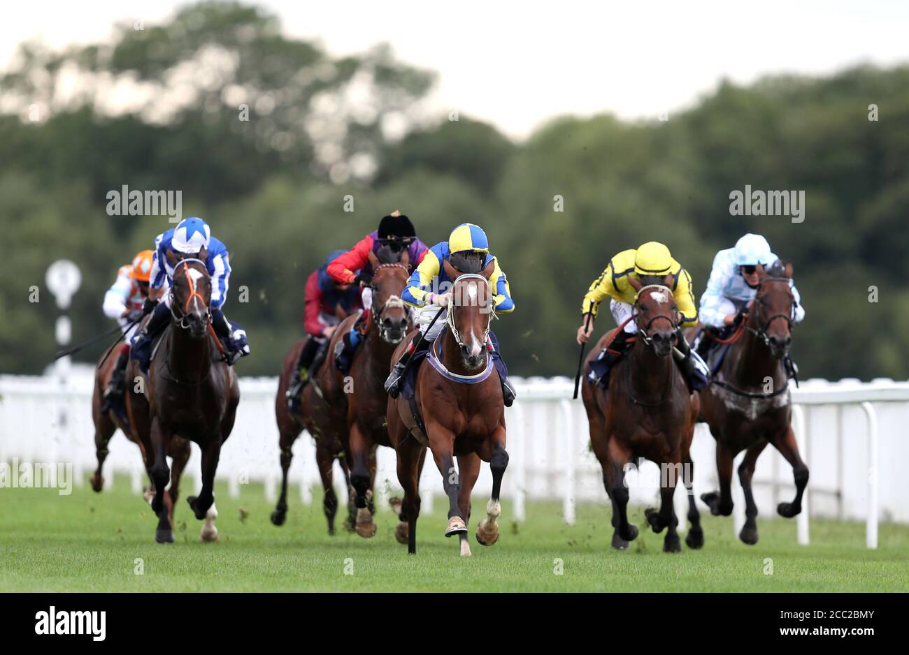 Wins british stallion studs ebf maiden stakes windsor racecourse hi-res ...