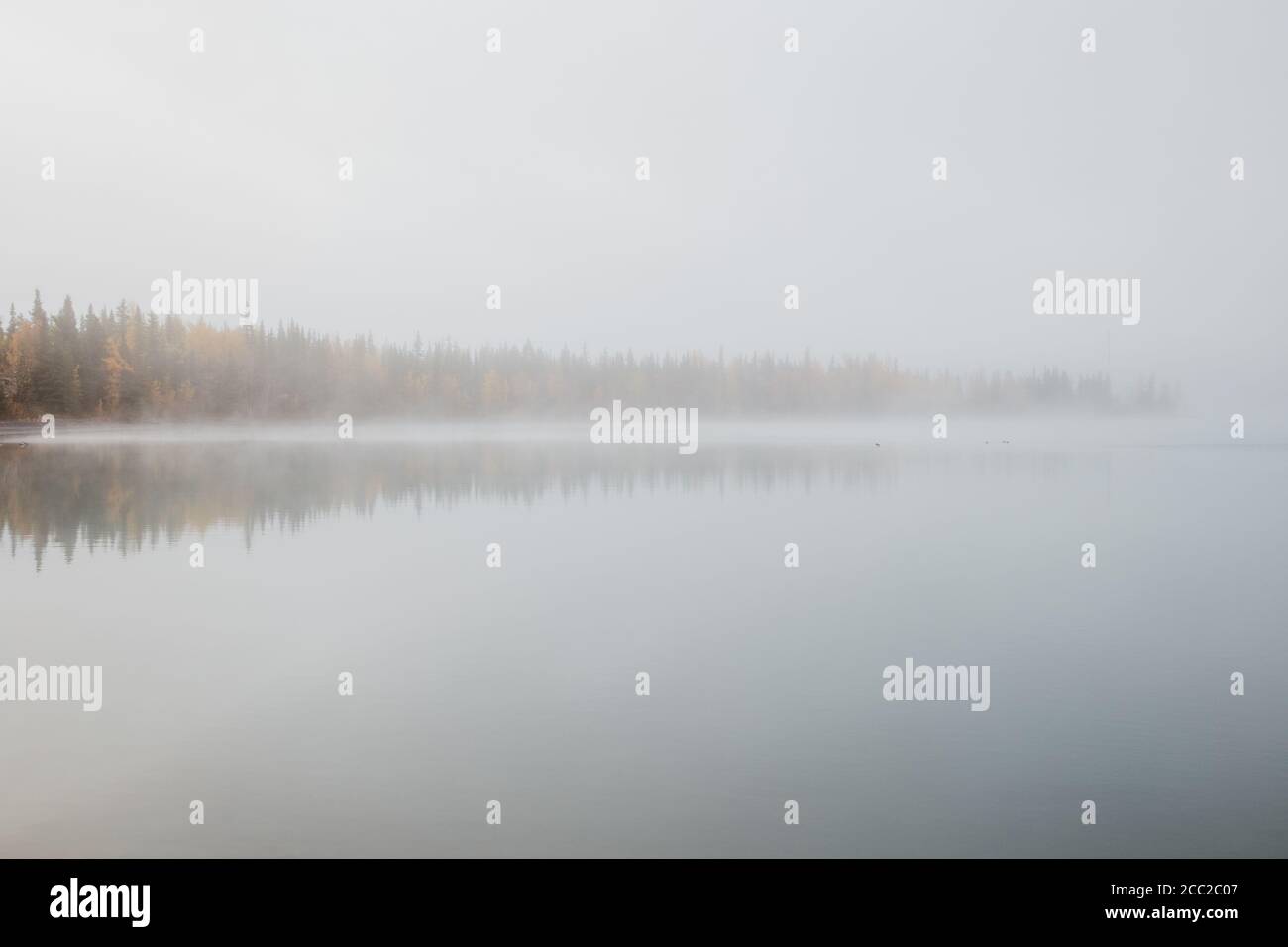 thick morning fog on lake Stock Photo - Alamy