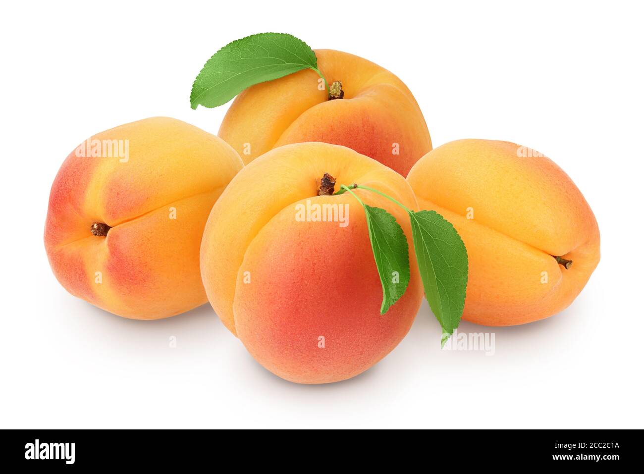 apricot fruit isolated on white background. Clipping path and full ...