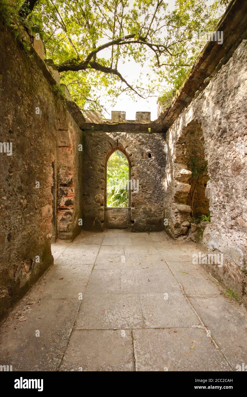 Old chapel ruins in a forest covered by vegetation Stock Photo - Alamy