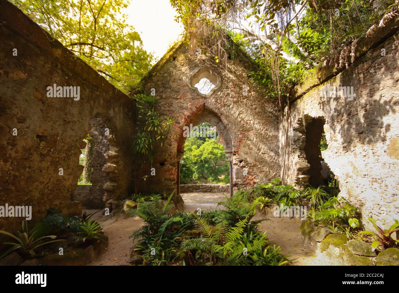 Old chapel ruins in a forest covered by vegetation Stock Photo - Alamy