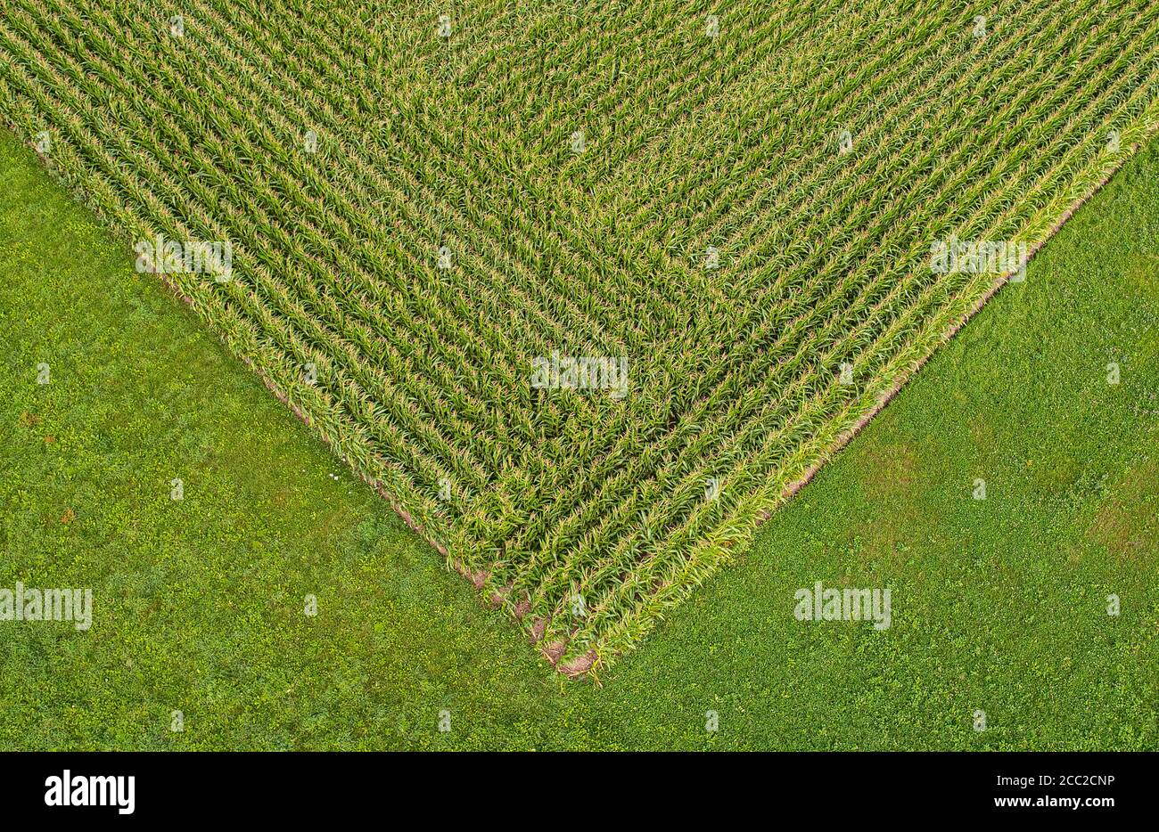 Aerial photo of agricultural field structures in Bavaria, Germany Stock ...