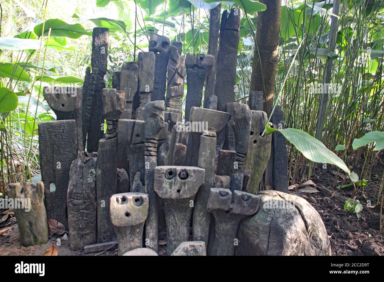 Eden project art rainforest hi-res stock photography and images - Alamy