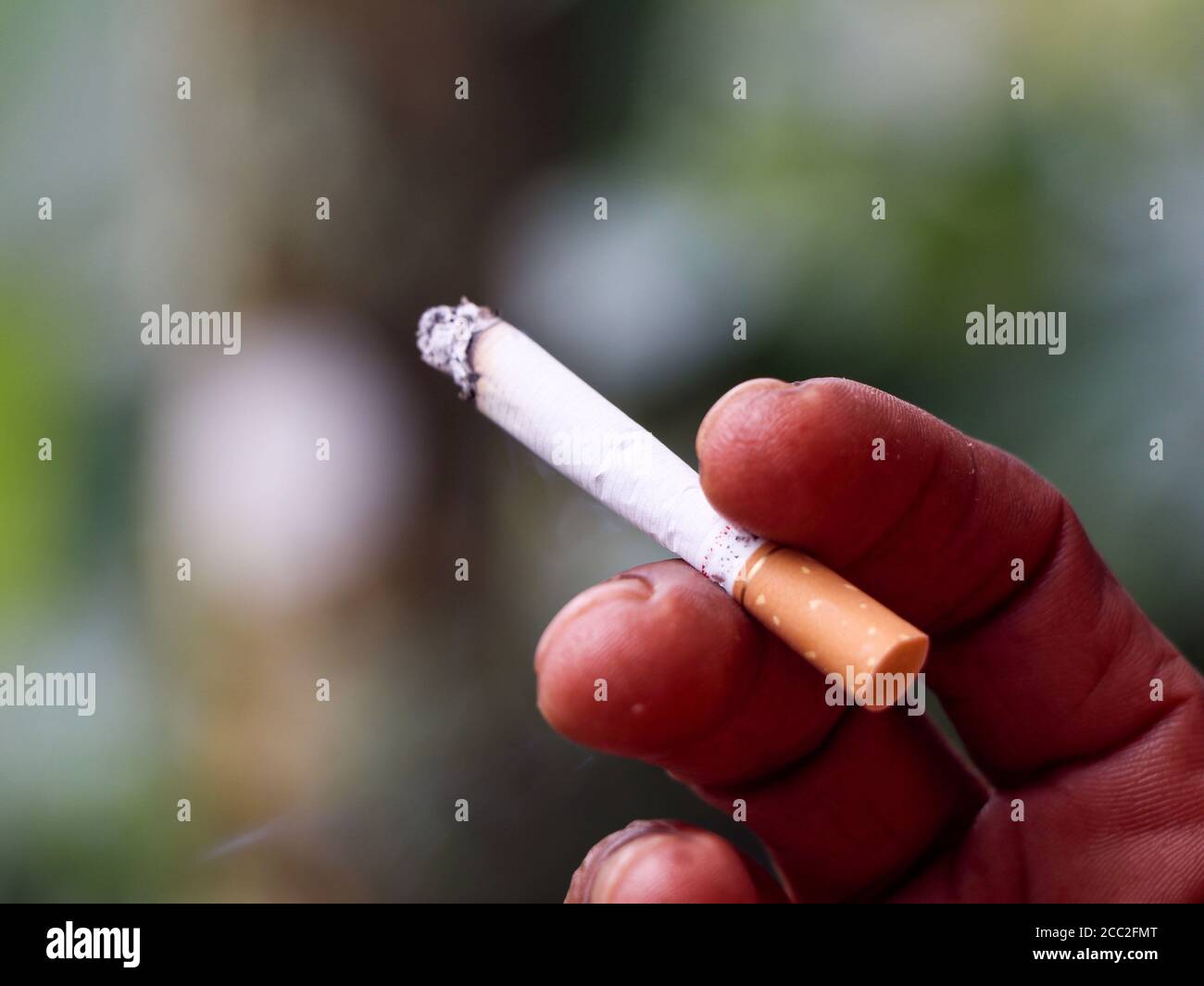 Tobacco burning stick hi-res stock photography and images - Alamy