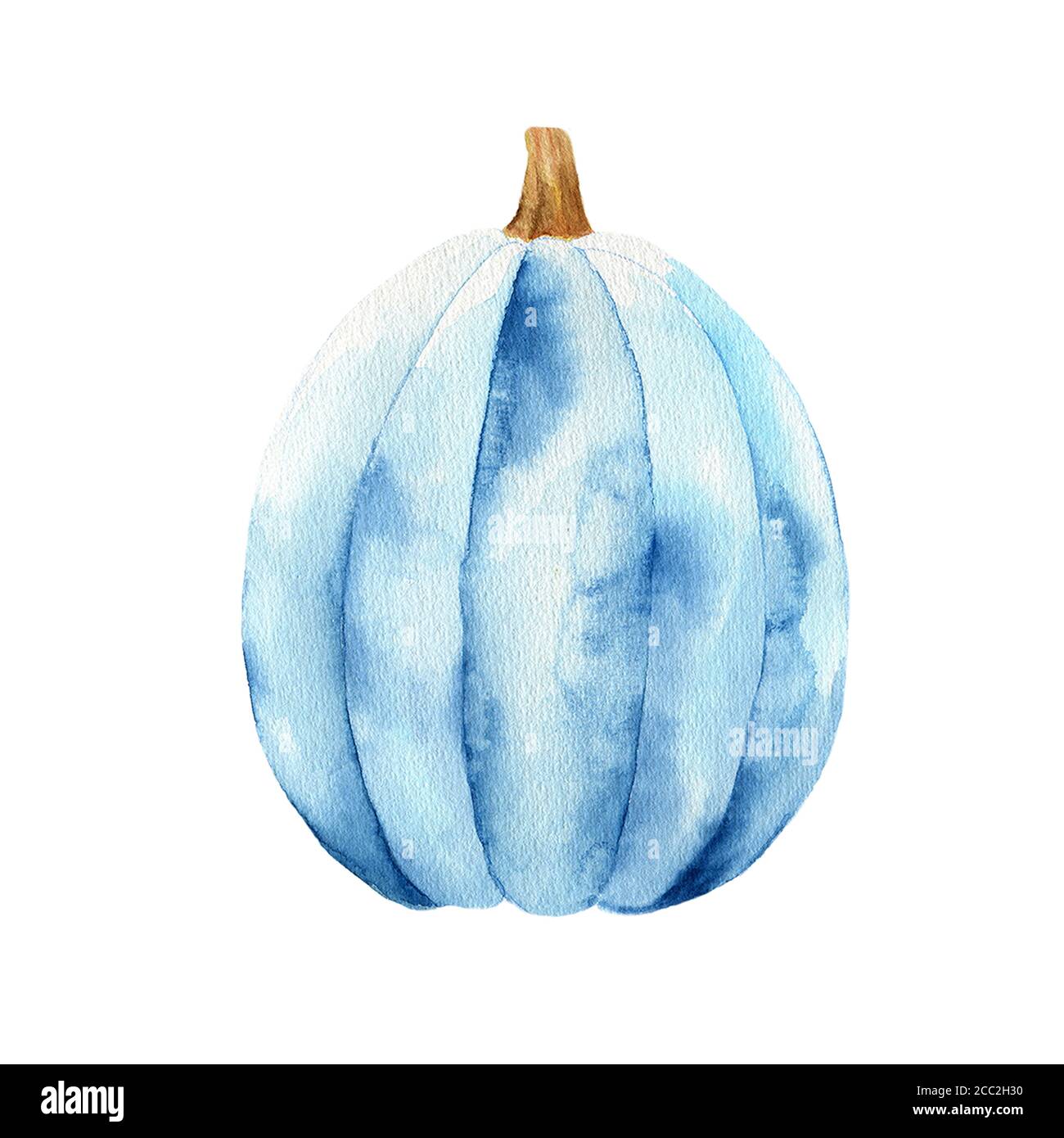 Watercolor illustration of blue pumpkins Stock Photo - Alamy