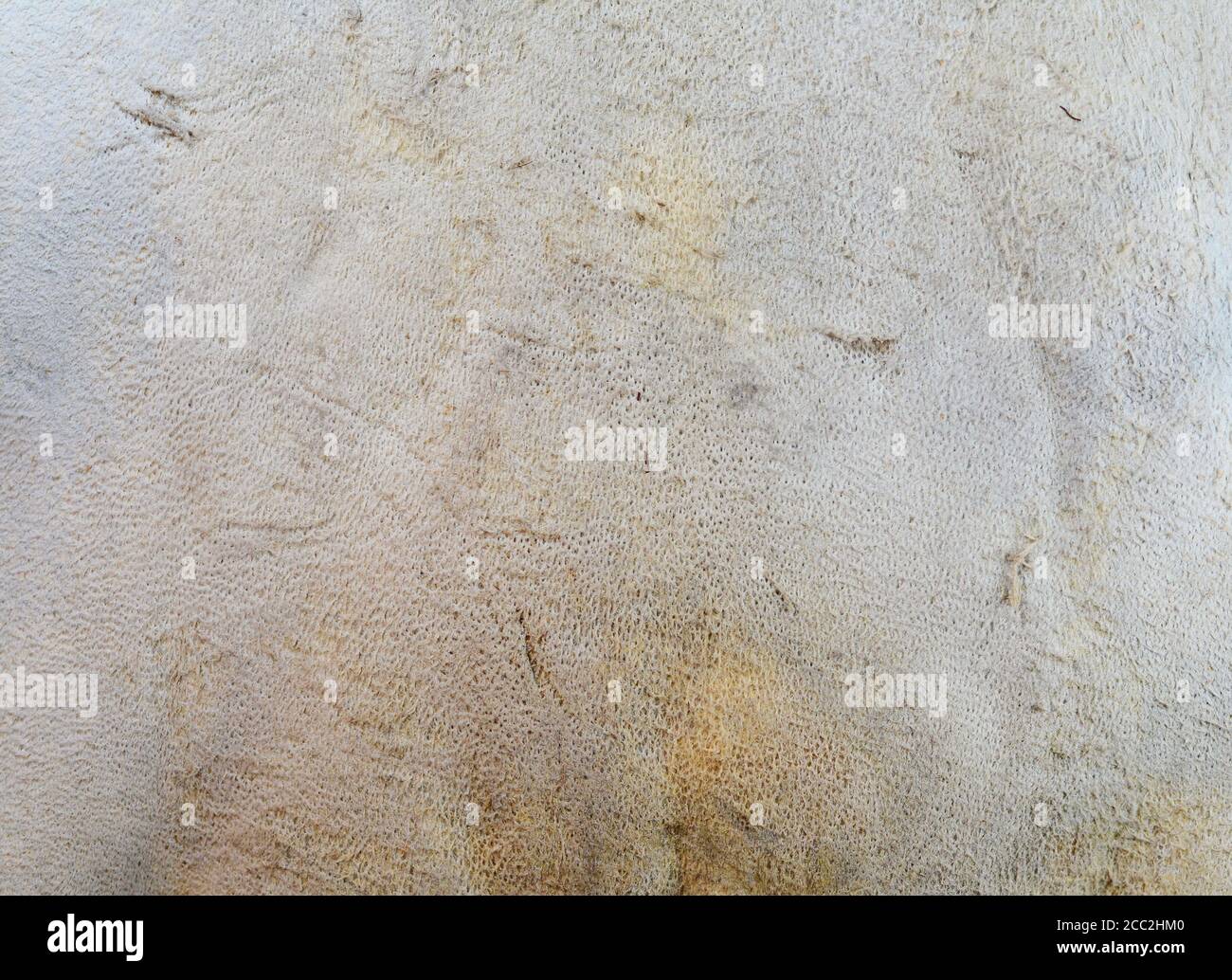 Painted raw rough leather Stock Photo - Alamy