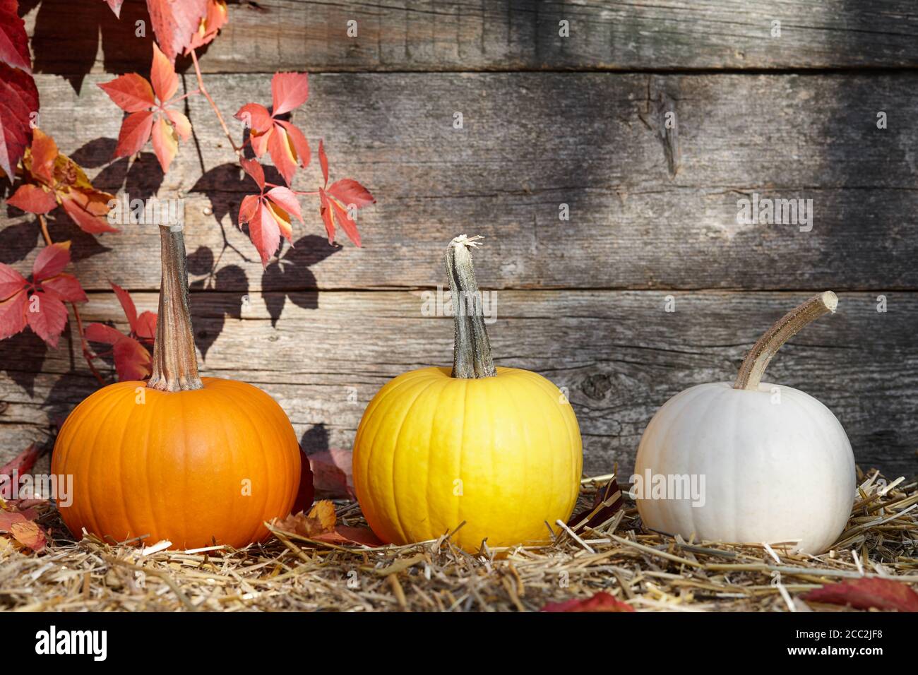 Decorative fall background hi-res stock photography and images - Alamy