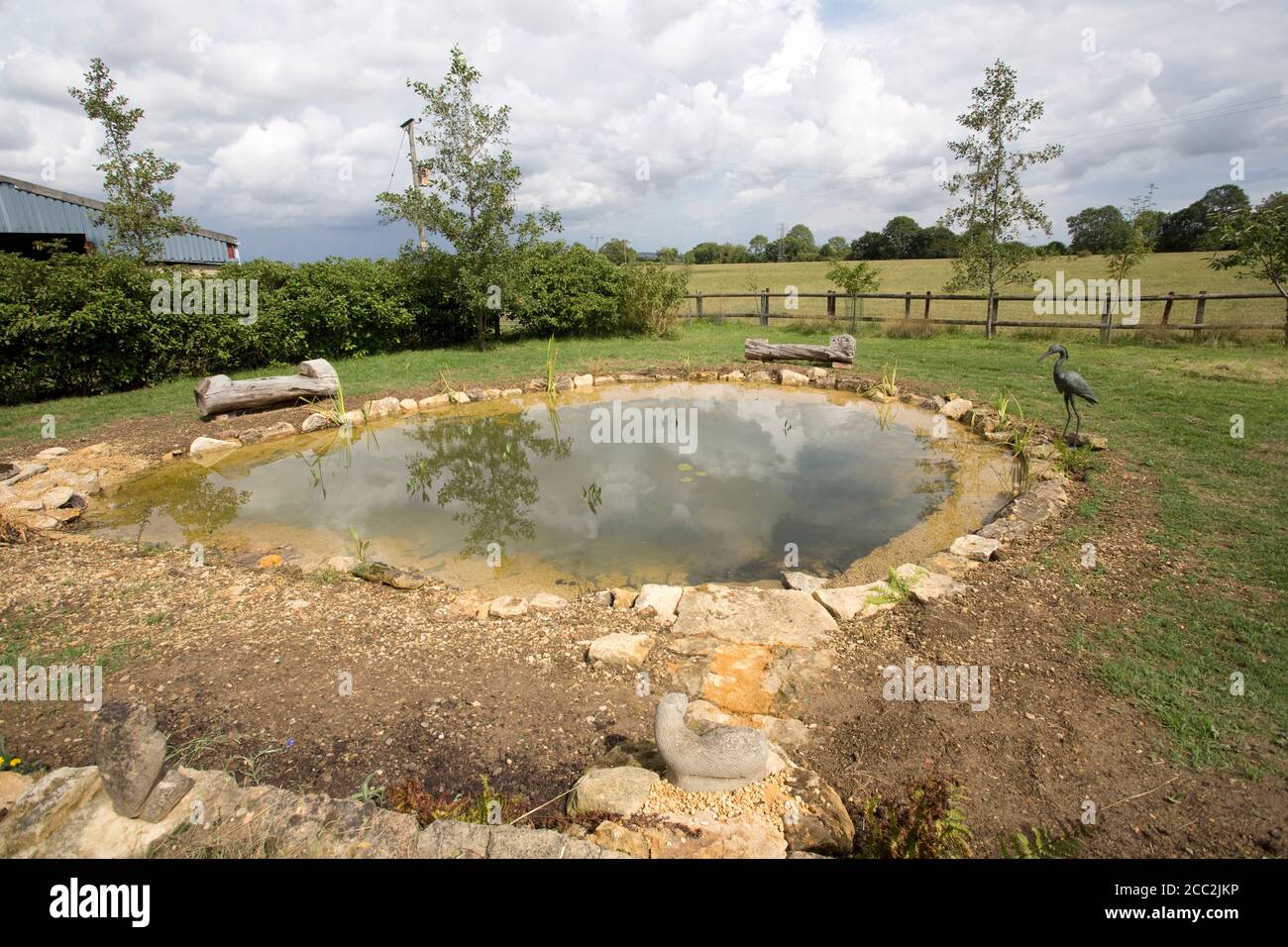 Recently completed large garden pond with first planting of pond plants ...