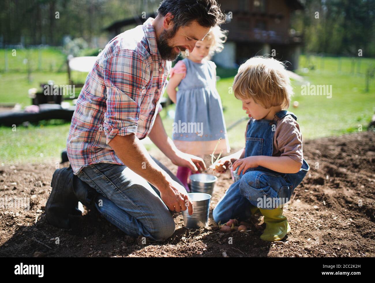 Father with small children working outdoors in garden, sustainable ...