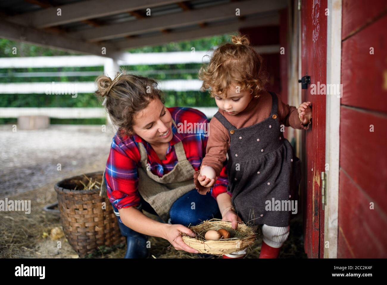 Portrait of mother with small daughter standing on farm, holding basket ...