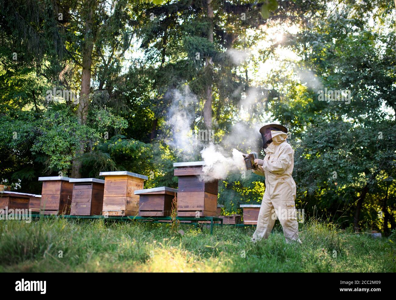 Beekeeping veil hi-res stock photography and images - Alamy