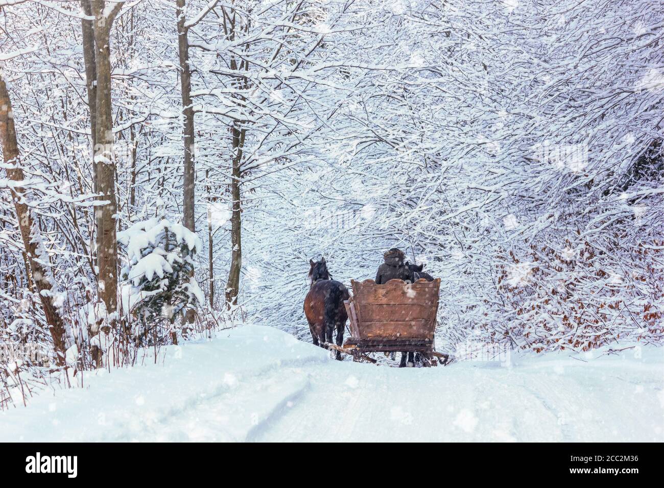 Sleigh tracks hi-res stock photography and images - Alamy