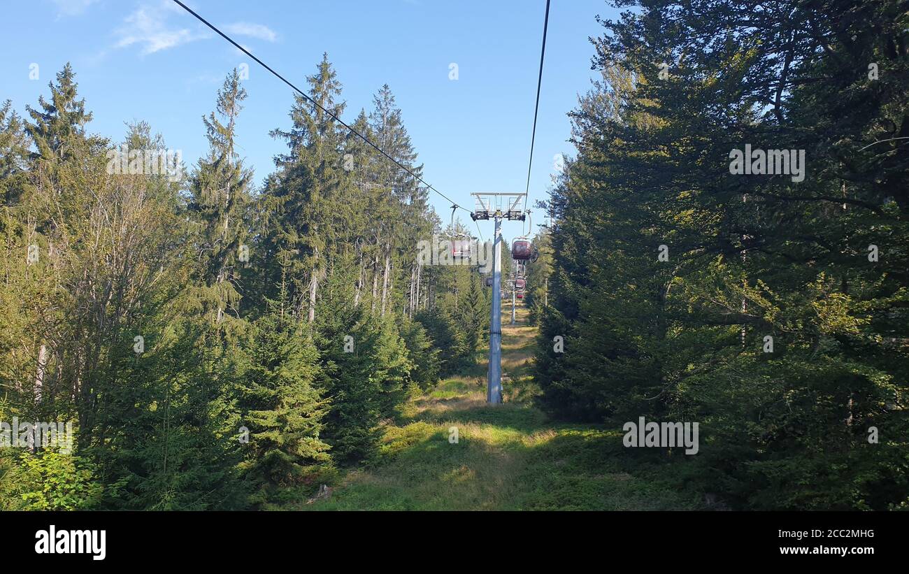 Beautiful shot of the cable cars in the middle of the forest from ...
