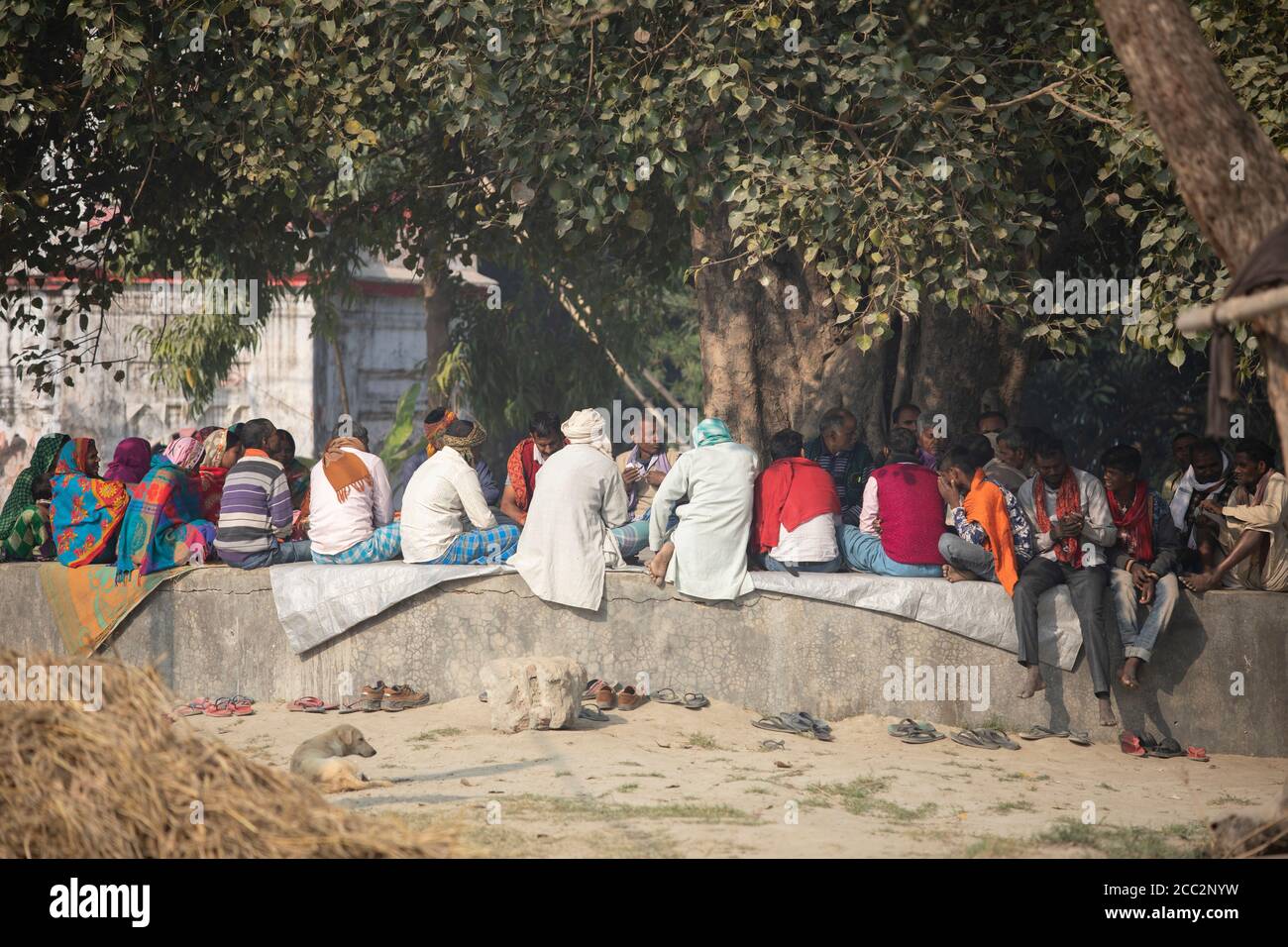 Community meeting beneath a village tree in Bihar state, India, South ...