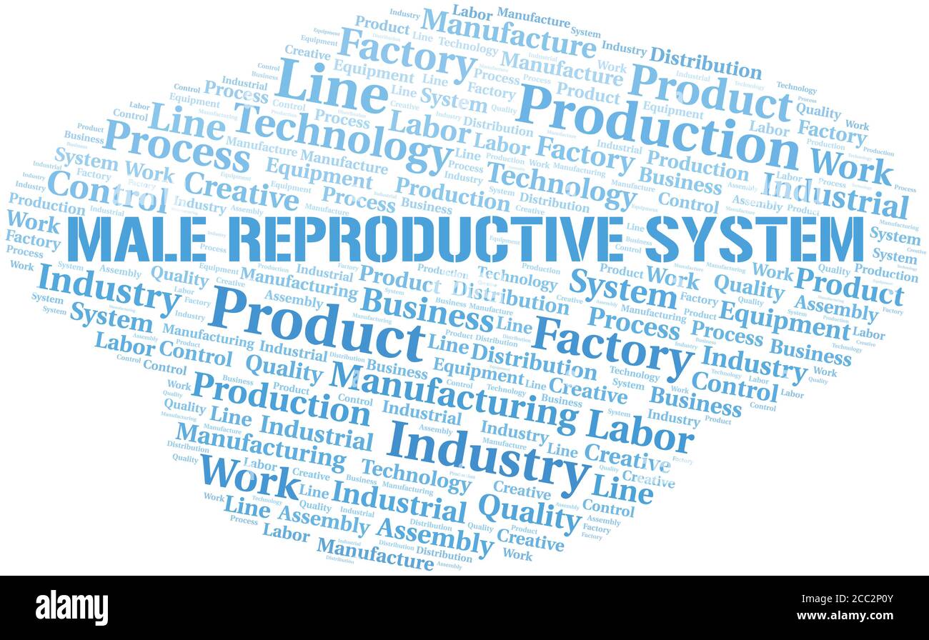Male Reproductive System word cloud create with the text only Stock ...