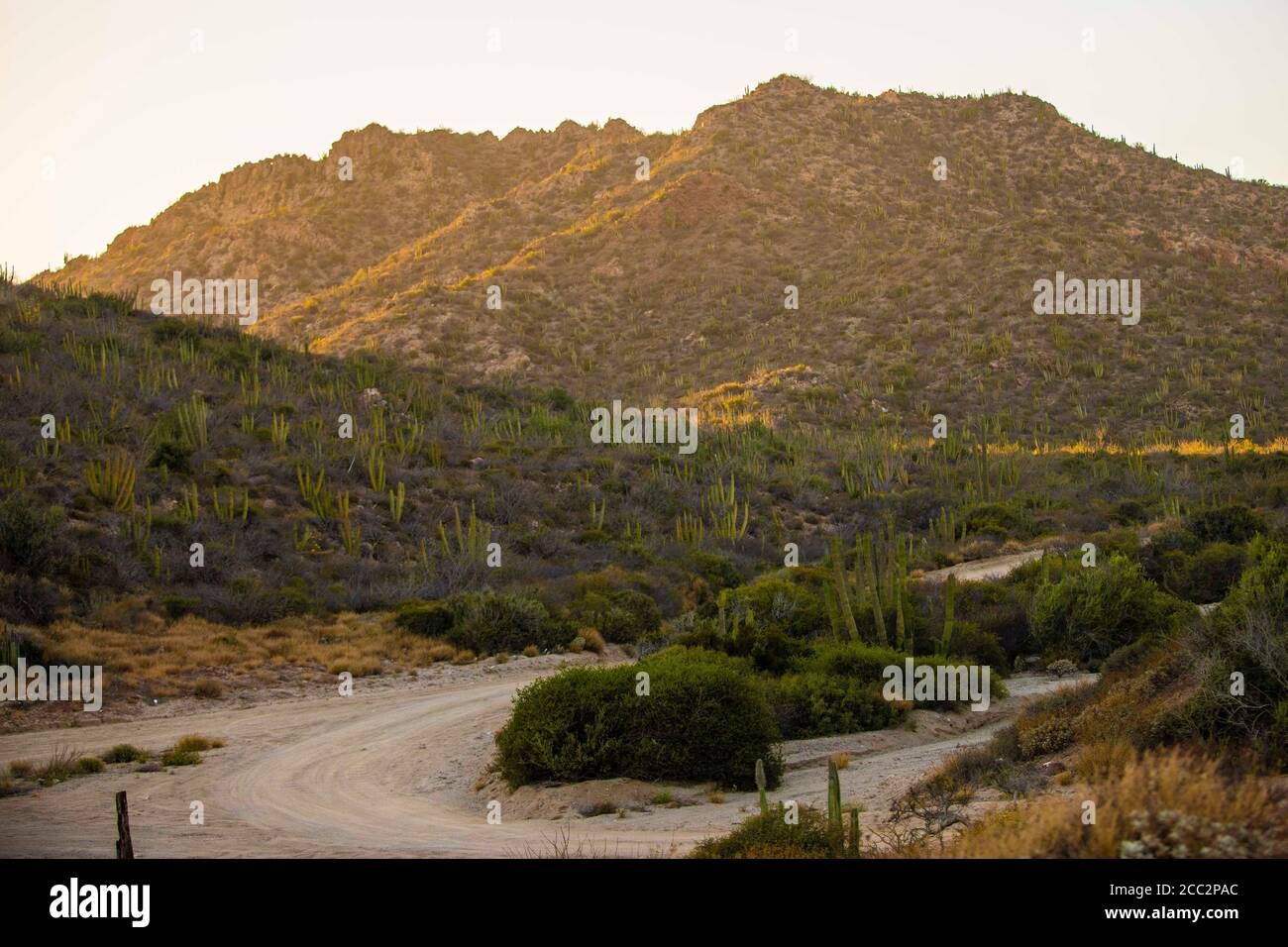 Desert, Sonora Mexico. Sunset, day Stock Photo - Alamy