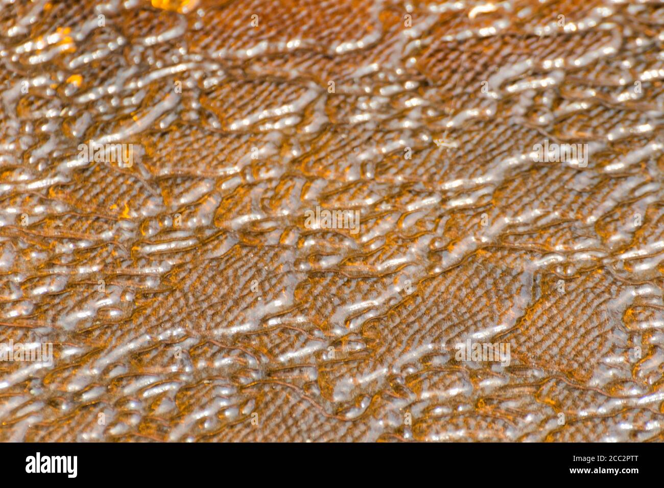 Patterned glass, close-up. Orange color Stock Photo - Alamy