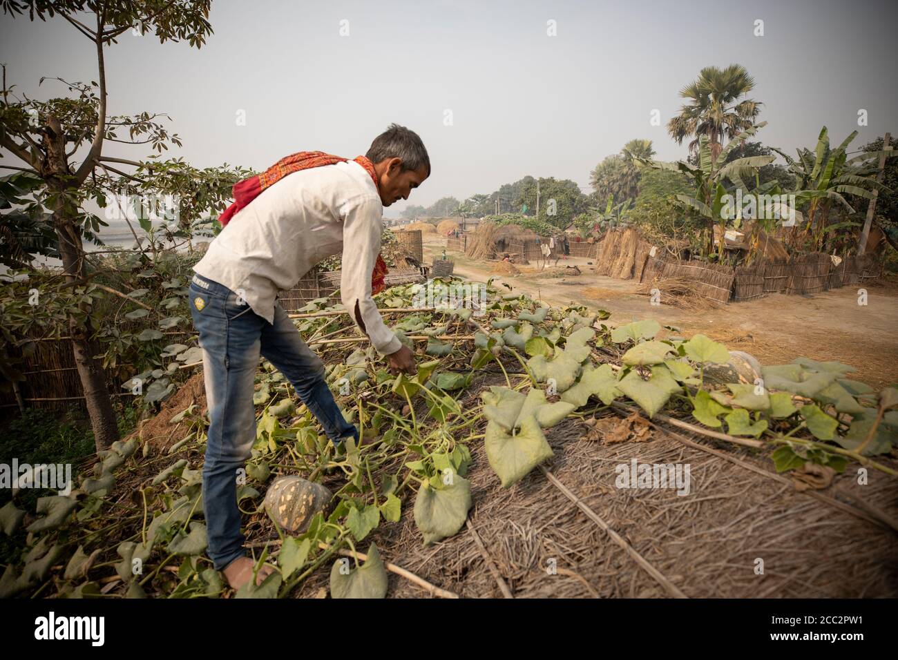 Monsoon india farm hi-res stock photography and images - Alamy
