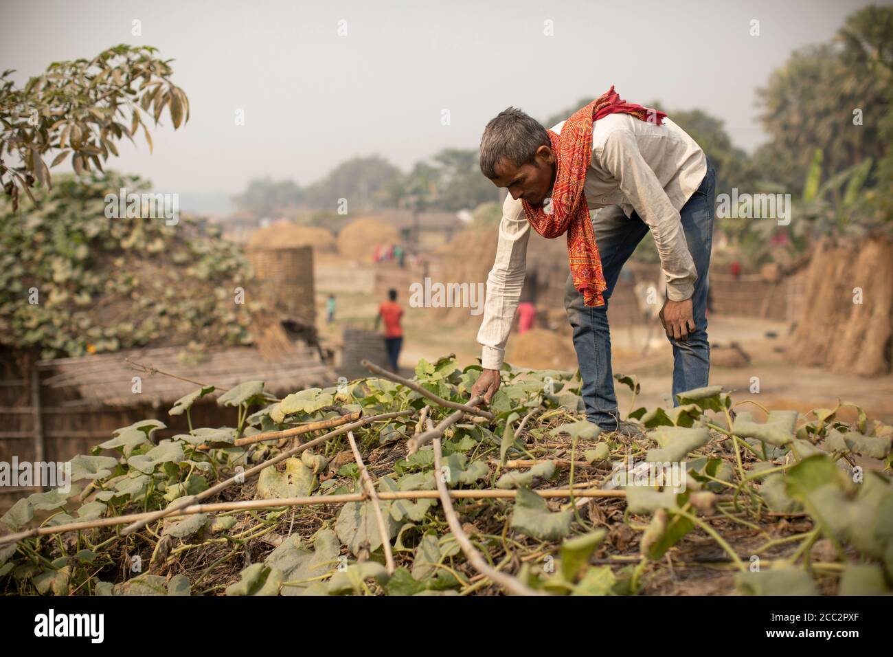 Poor Agricultural Practices High Resolution Stock Photography and ...