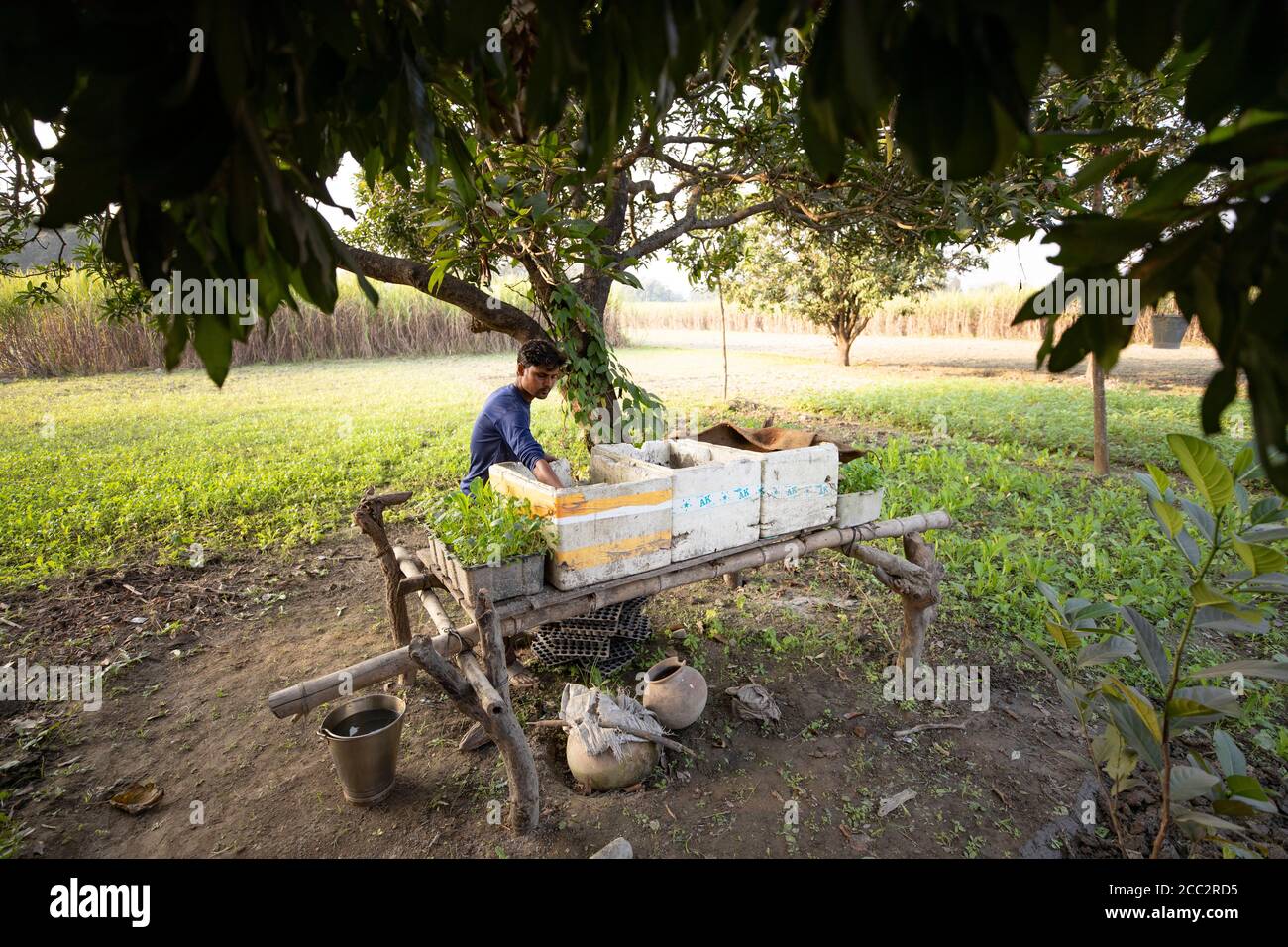 Prabhu Nath (26) cares for young seedlings on a mobile compost platform ...