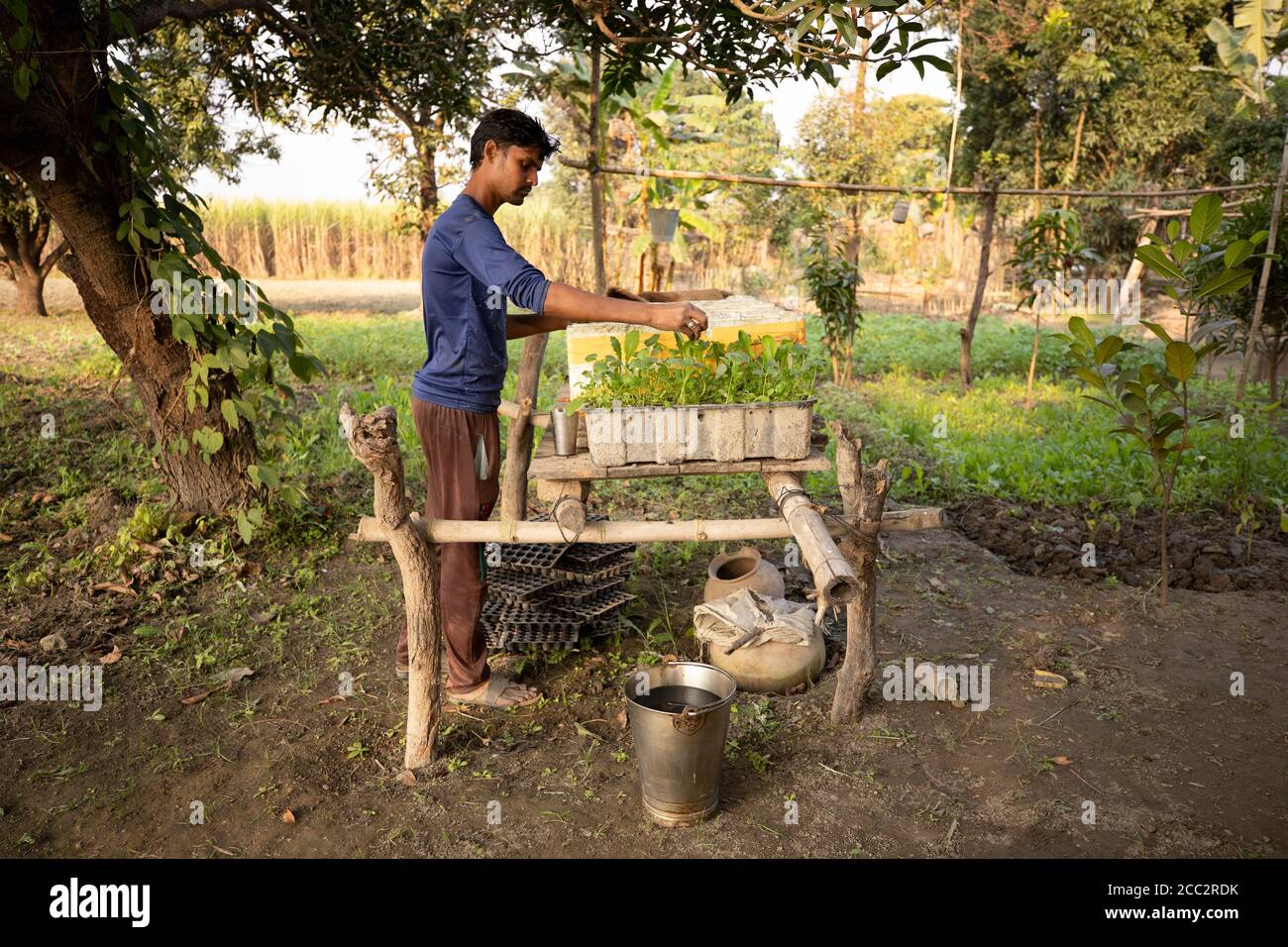 Prabhu Nath (26) cares for young seedlings on a mobile compost platform ...