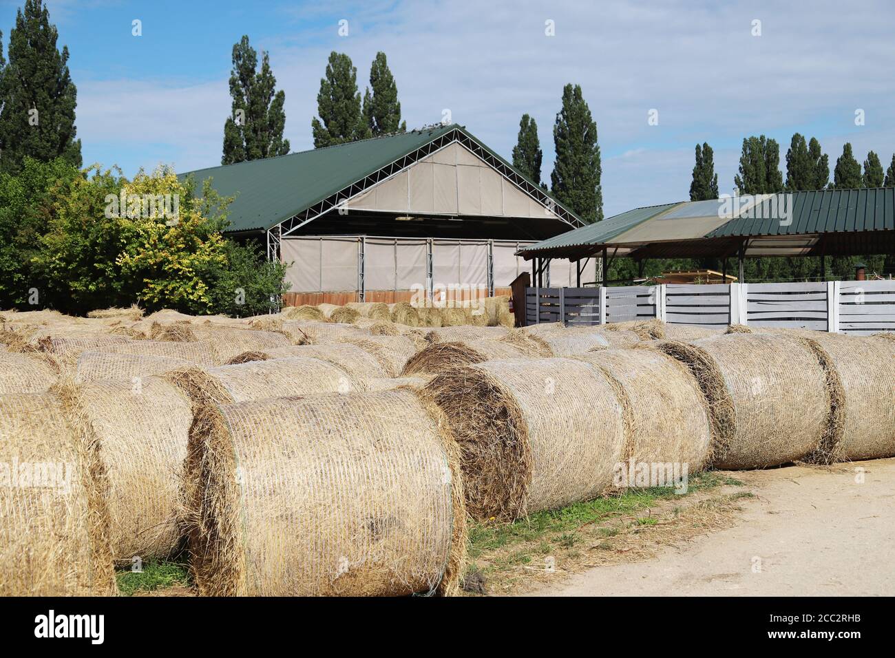 View of a rural animal farm with hay bales after harvest. Hay roll ...