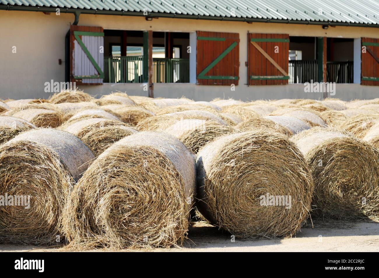 View of a rural animal farm with hay bales after harvest. Hay roll ...