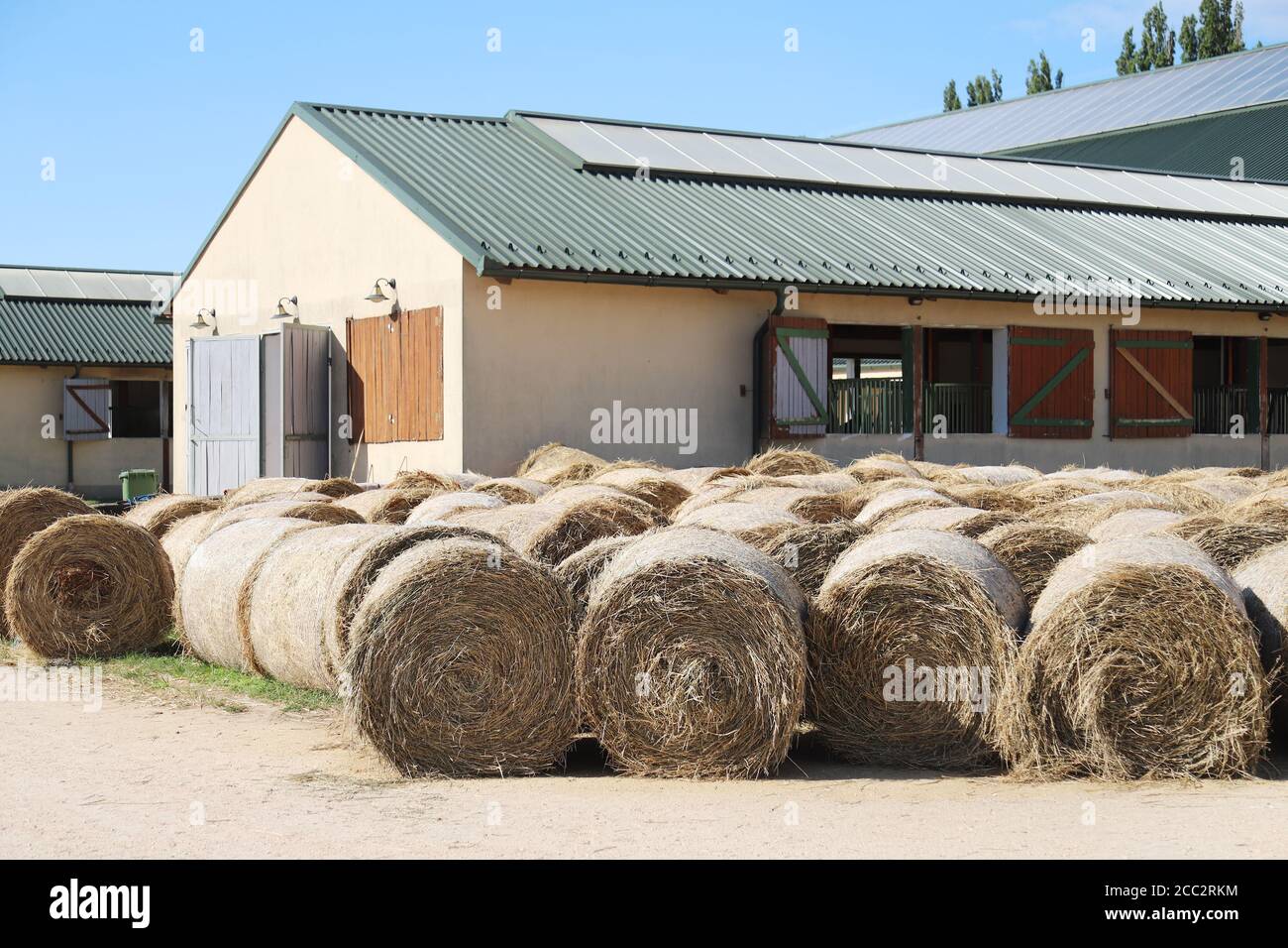 View of a rural animal farm with hay bales after harvest. Hay roll ...