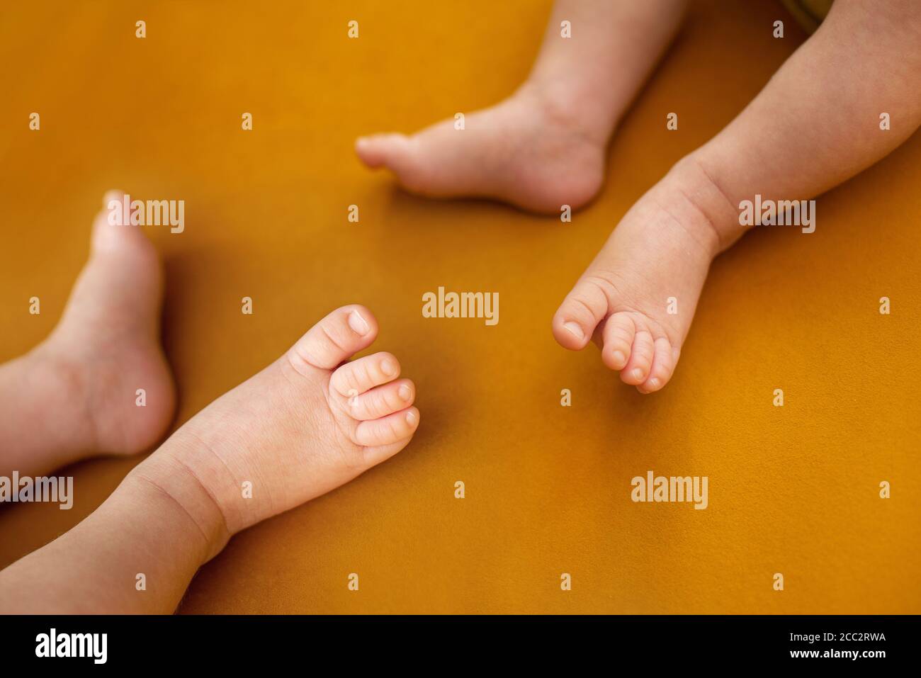 twins newborns, brother and sister, multiple pregnancy. Baby feet ...