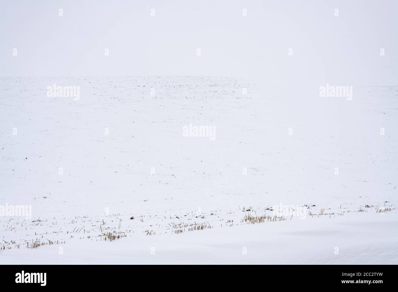 Winter Landscape in the Palouse, WA Stock Photo - Alamy