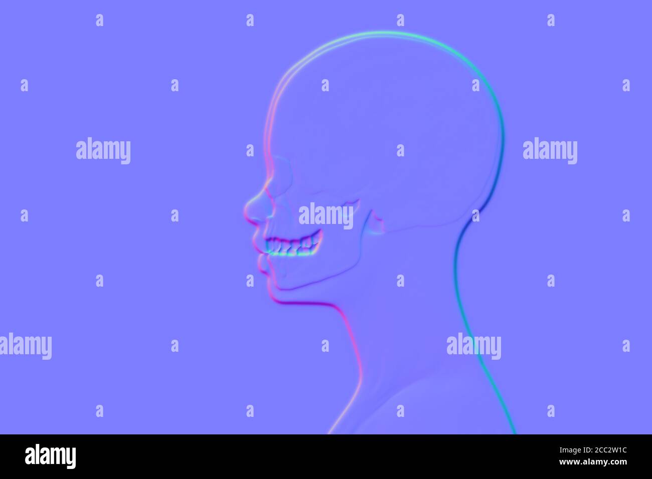view of the skull in the human head, female head scan in profile ...