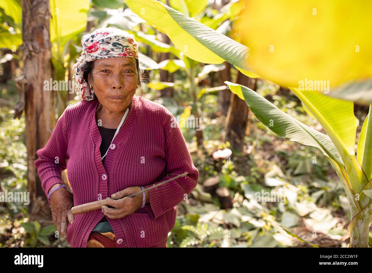 Hari Maya Tamang (70) stands in her banana fields in Nawalparasi ...