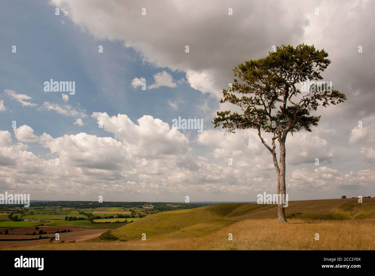 Roundway hill hi-res stock photography and images - Alamy