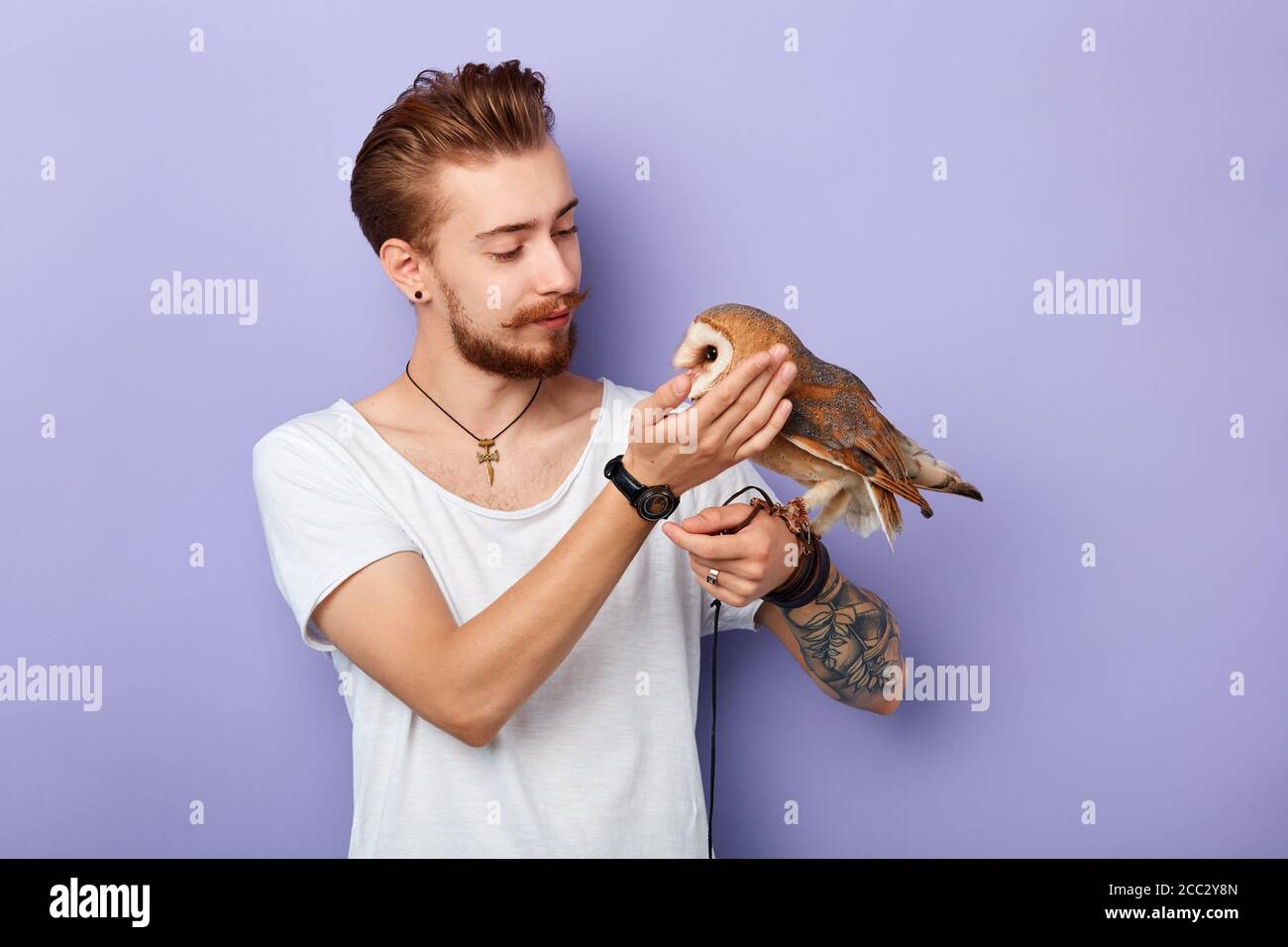 veterinarian treating the bird . medicine, treatment concept, isolated ...