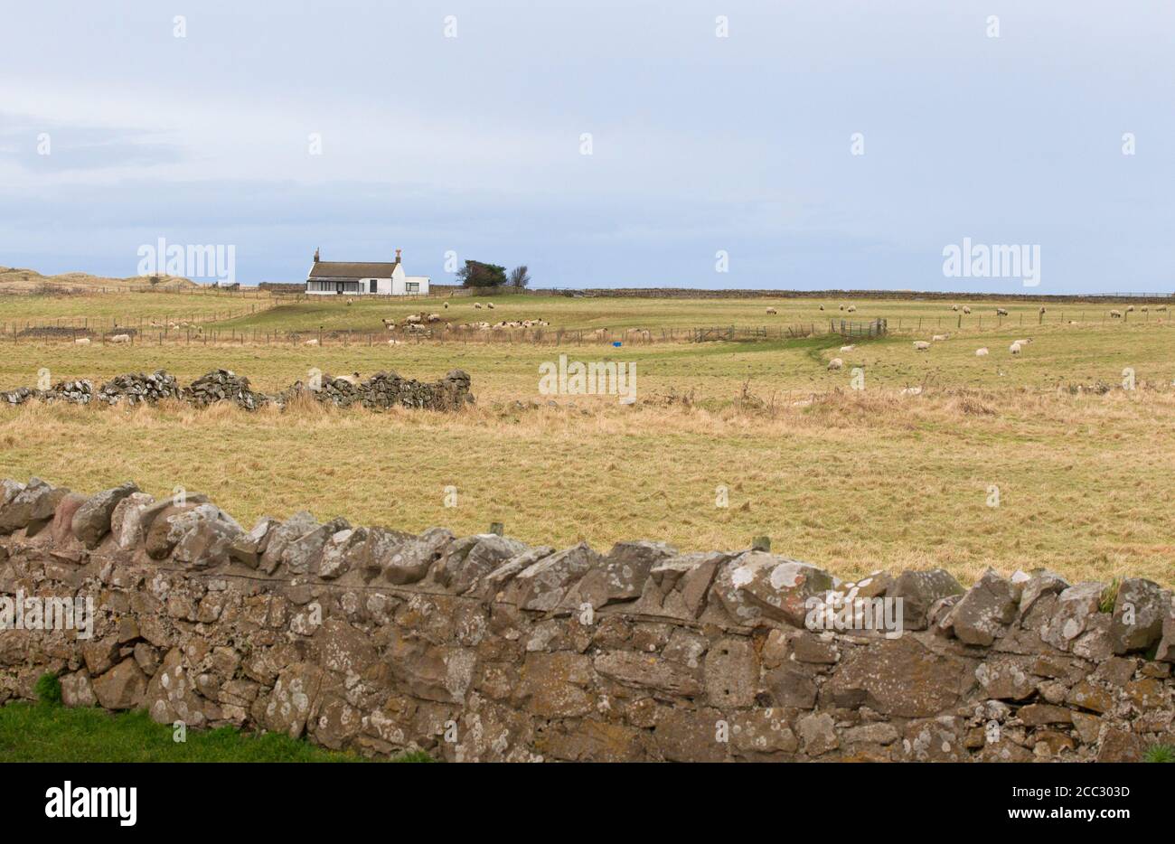 Farmhouse northumberland hi-res stock photography and images - Alamy
