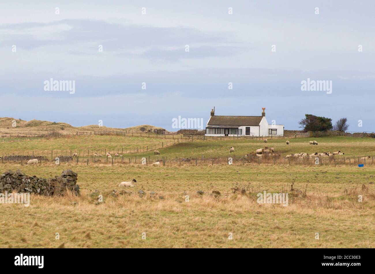 Farmhouse northumberland hi-res stock photography and images - Alamy