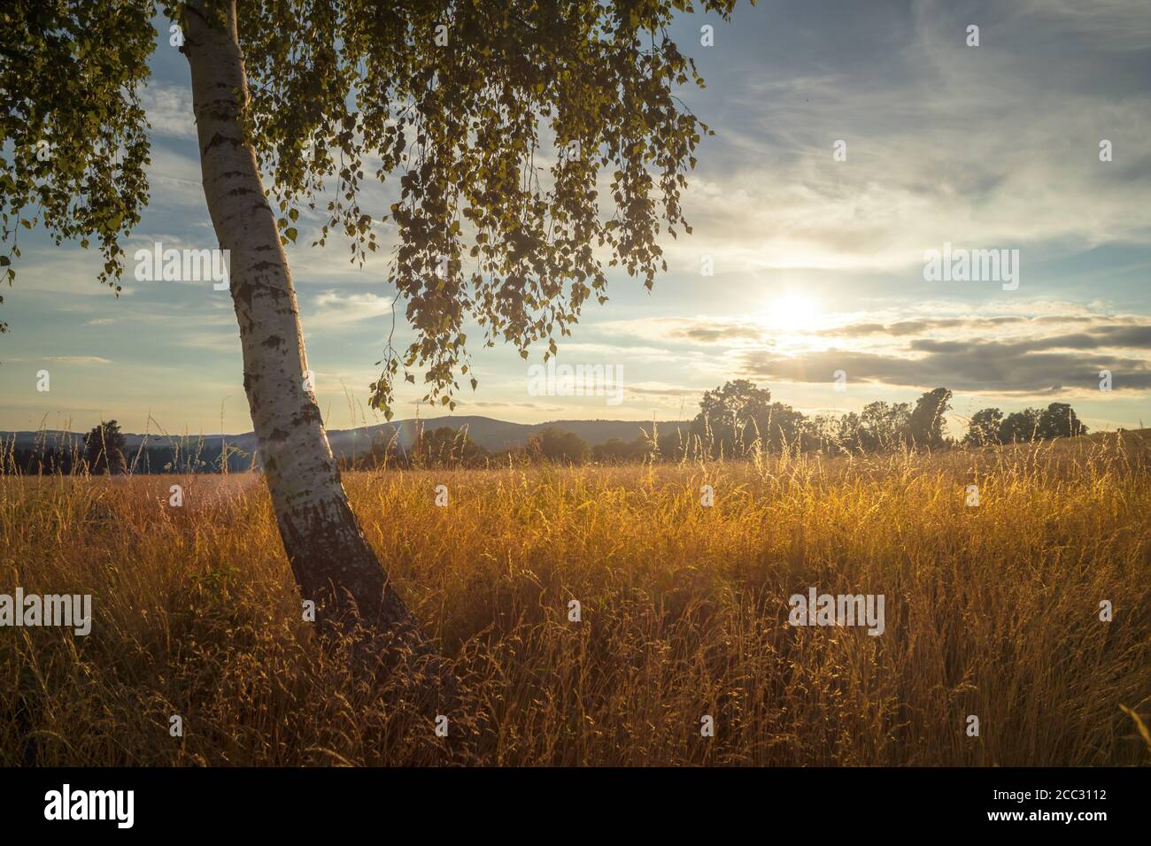 Grassland sun hi-res stock photography and images - Alamy