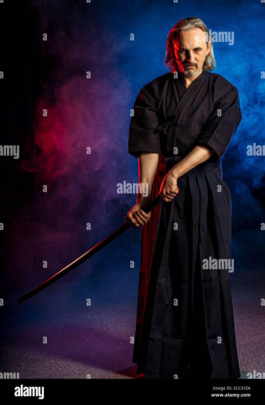 Sword fight profile hi-res stock photography and images - Alamy