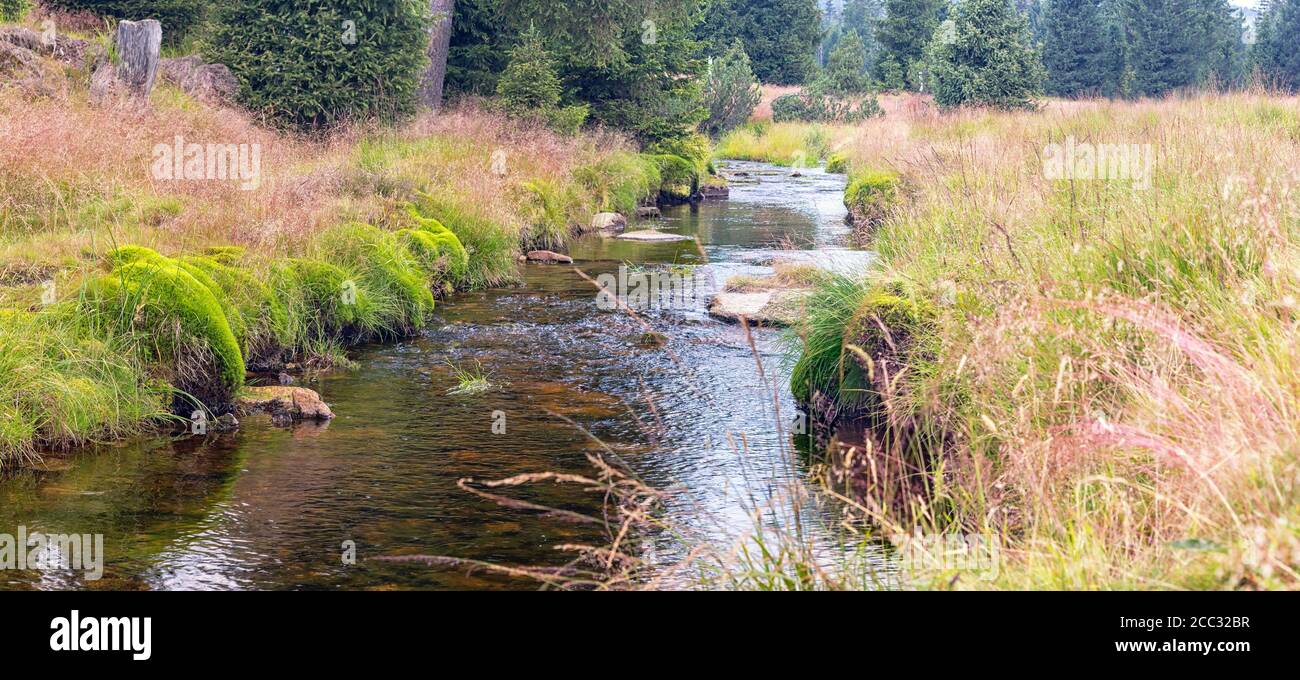panorama landscape with Jizerka river - Jizerky bog, Jizera mountains ...
