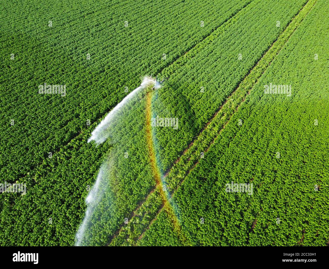Field spray hi-res stock photography and images - Alamy
