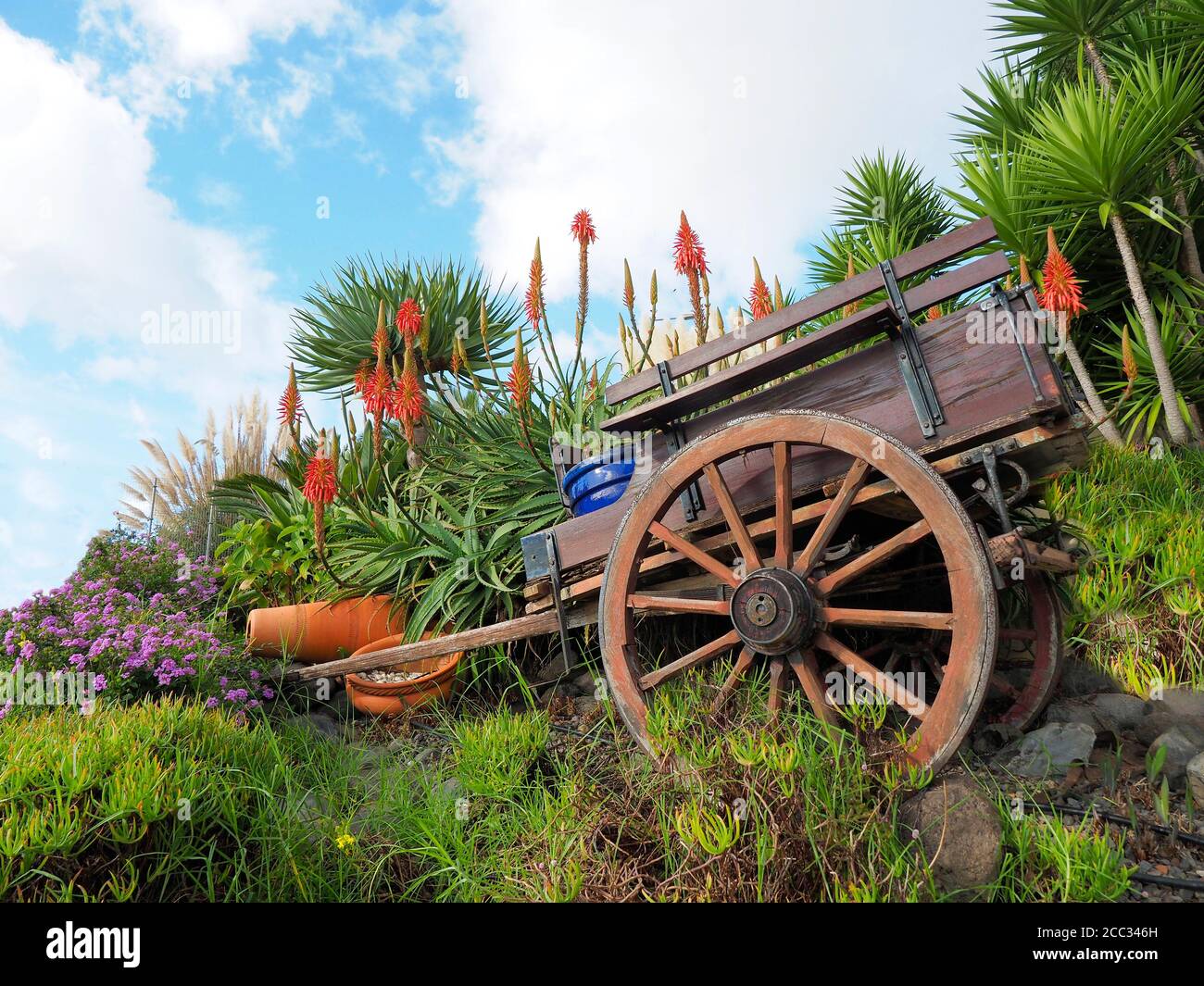 Antique Wooden Cart Used in a Tropical Landscape Design Stock Photo - Alamy