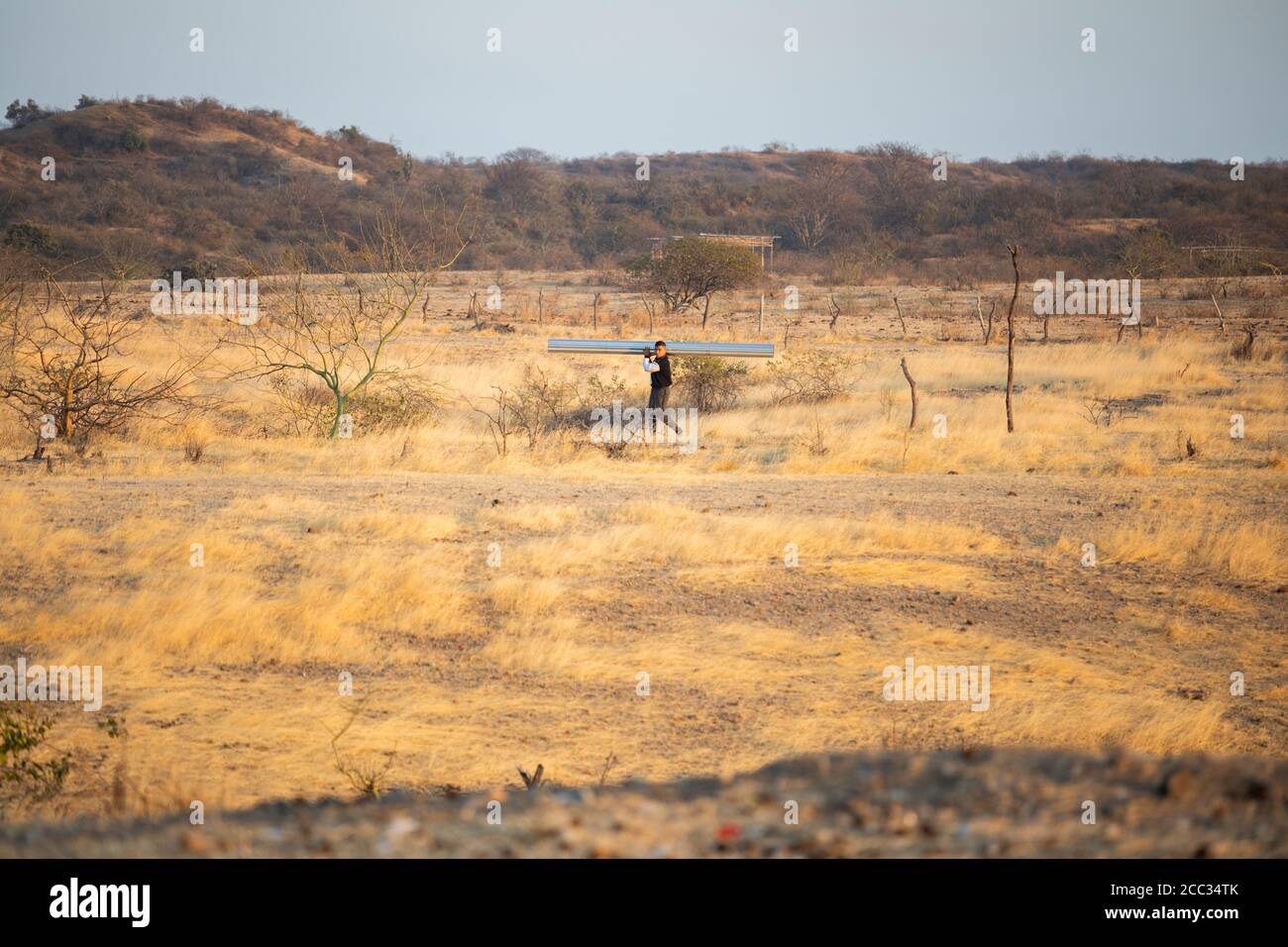 Rural Sullana Province, in Peru, South America, has a dry, arid and ...