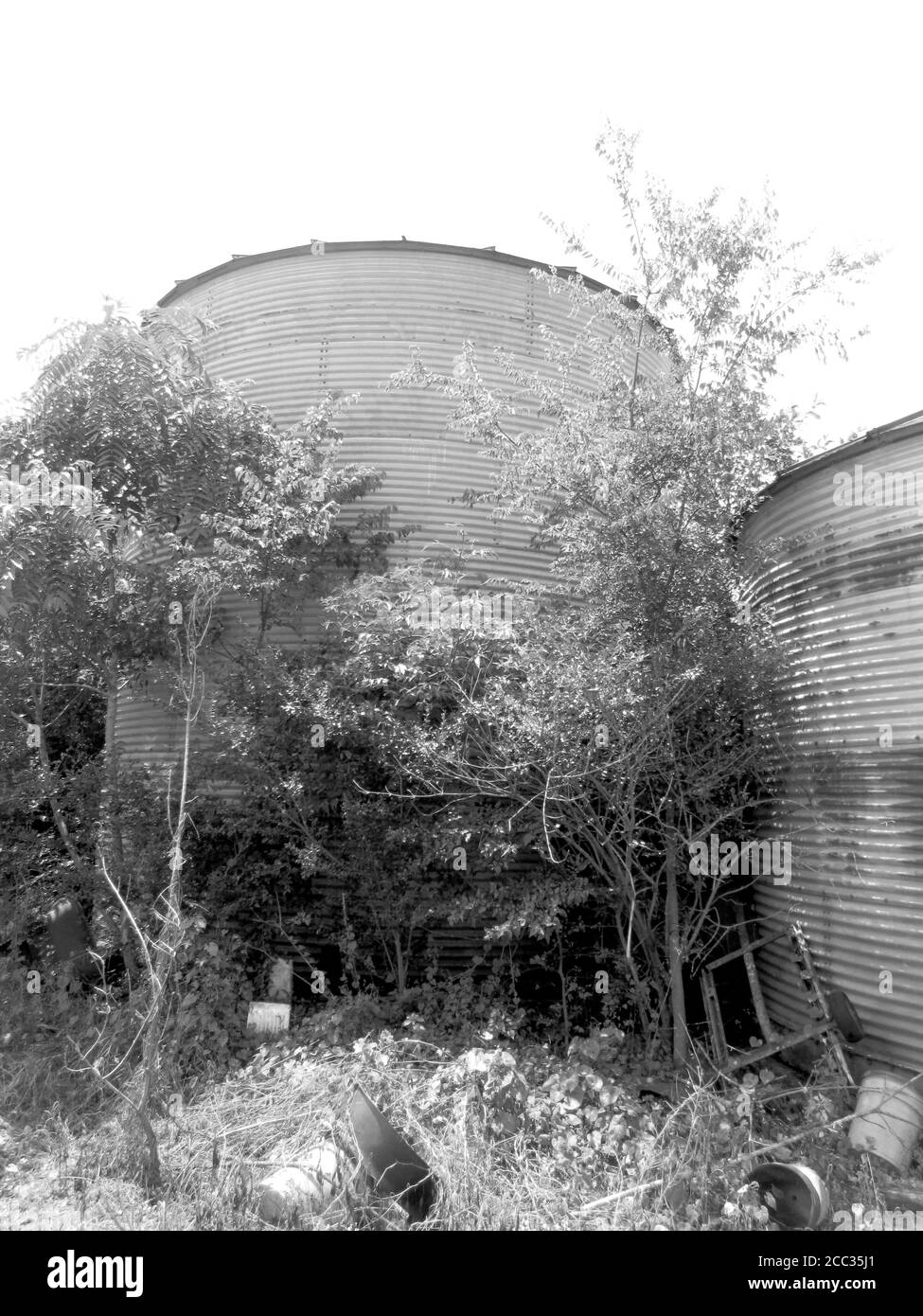 Abandoned Silos on a Tennessee Farm Stock Photo - Alamy